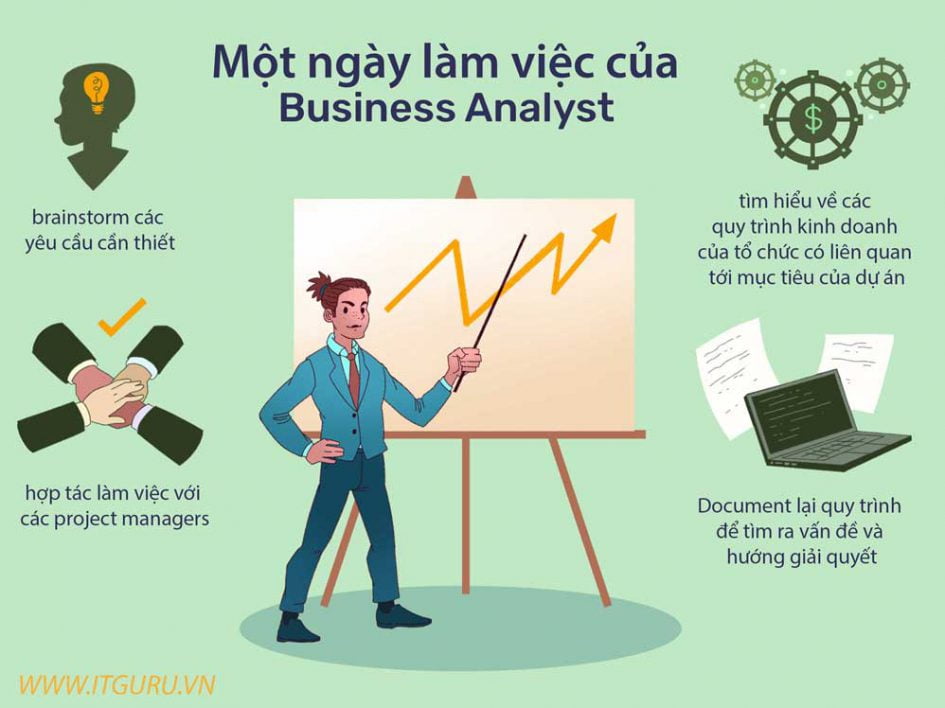 Business Analyst là gì và vai trò của BA trong công ty và dự án